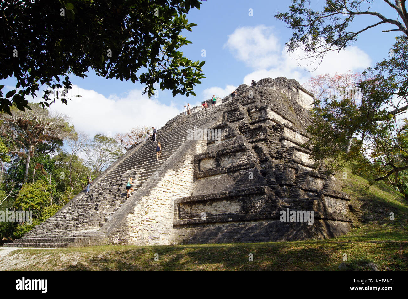 Pyramid with tourists and forest in Tikal, Guatemala Stock Photo - Alamy