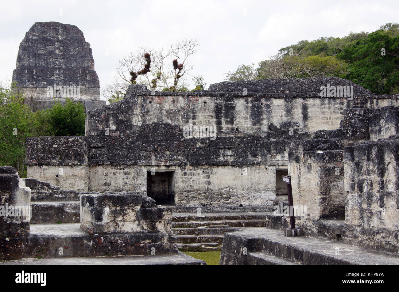 Ruins of old stone temple and pyramid in Tikal, Guatemala Stock Photo ...