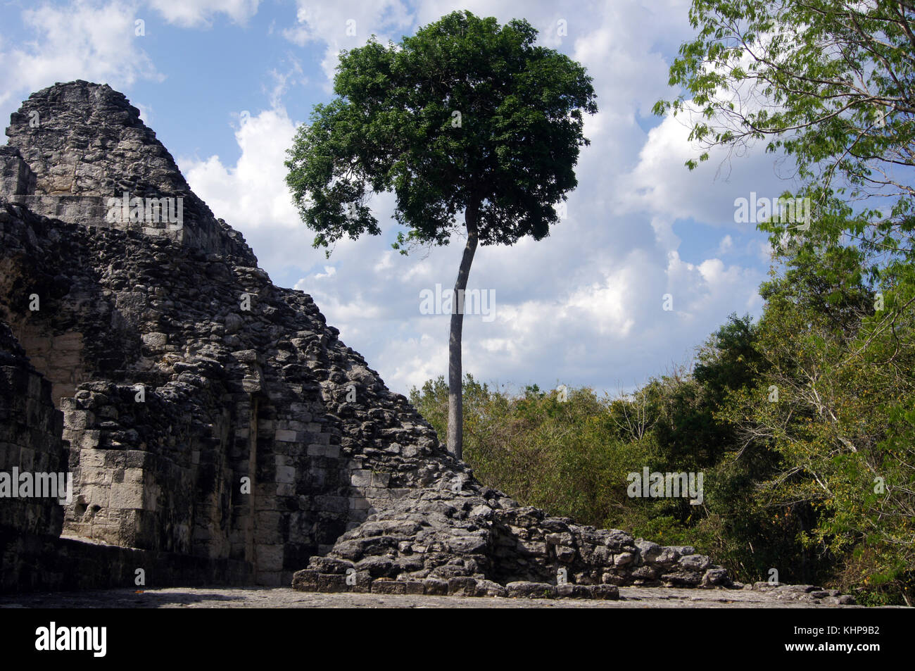 Trees and ruins of temple in Xpuhil, Yucatan, Mexico Stock Photo - Alamy