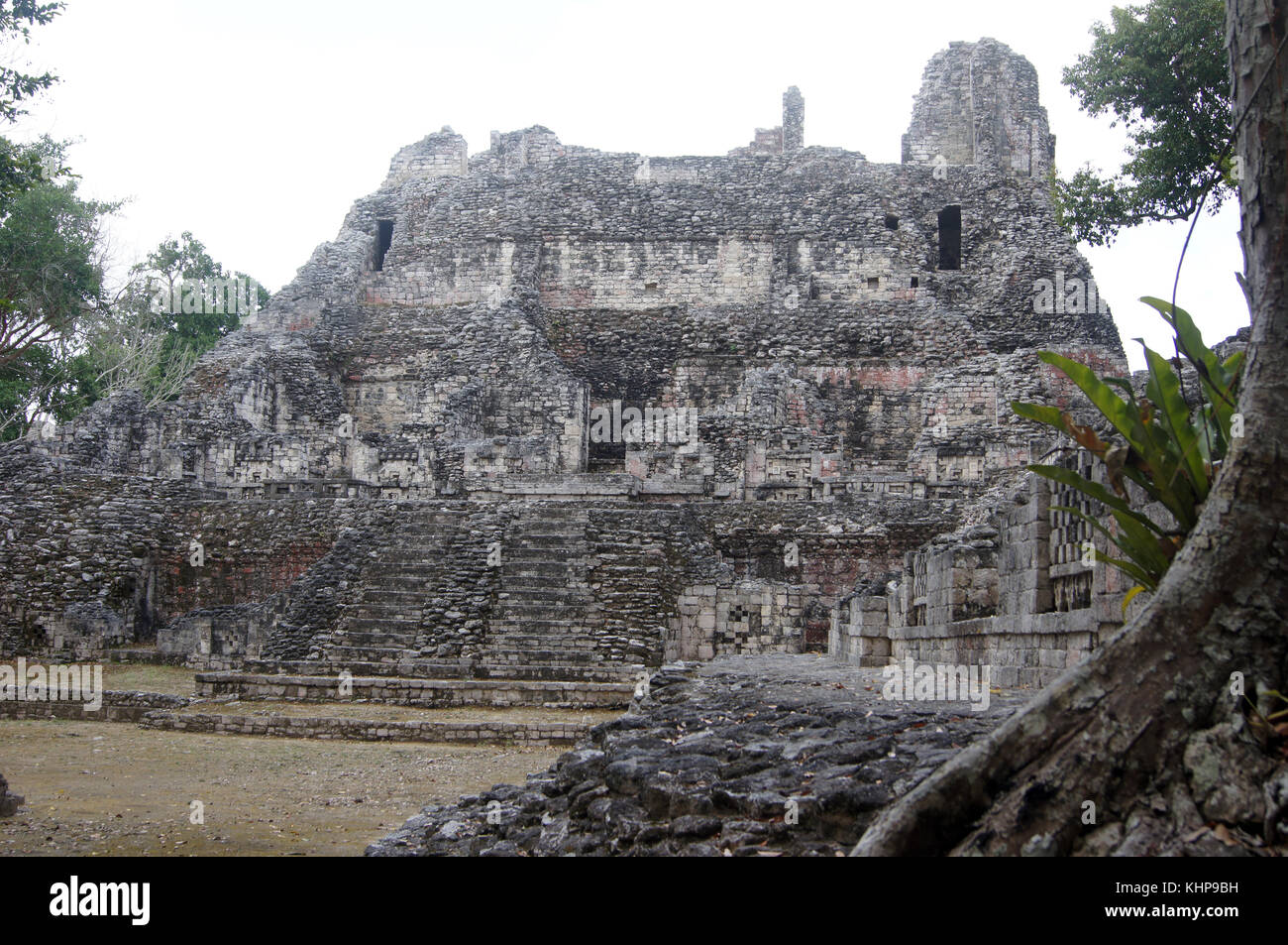 Tree and ruins of stone piramid in Becan, Mexico Stock Photo - Alamy