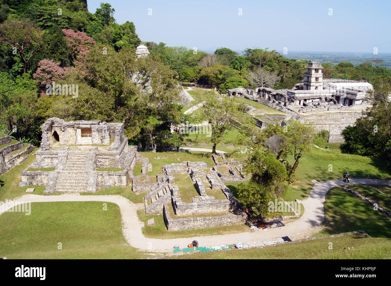 Mayan temples in the jungle at palenque in chiapas mexico hi-res stock ...