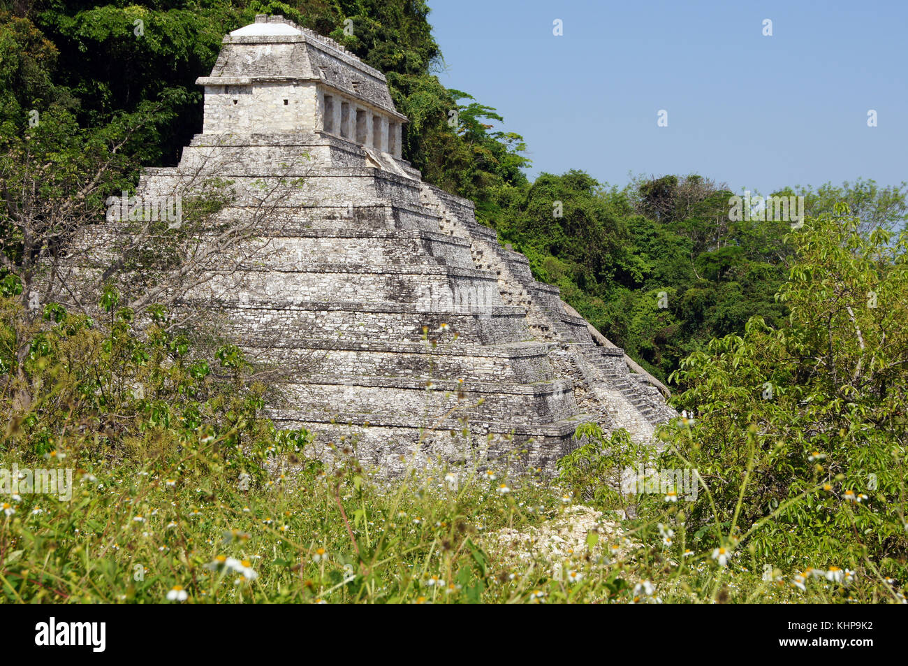 Grass and Temple of Inscriptions in Palenque, Mexico Stock Photo - Alamy