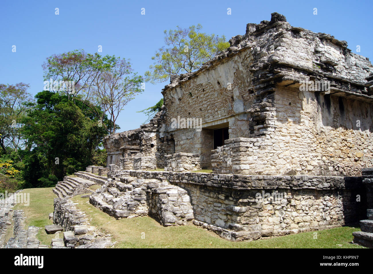 Mayan temples in the jungle at palenque in chiapas mexico hi-res stock ...