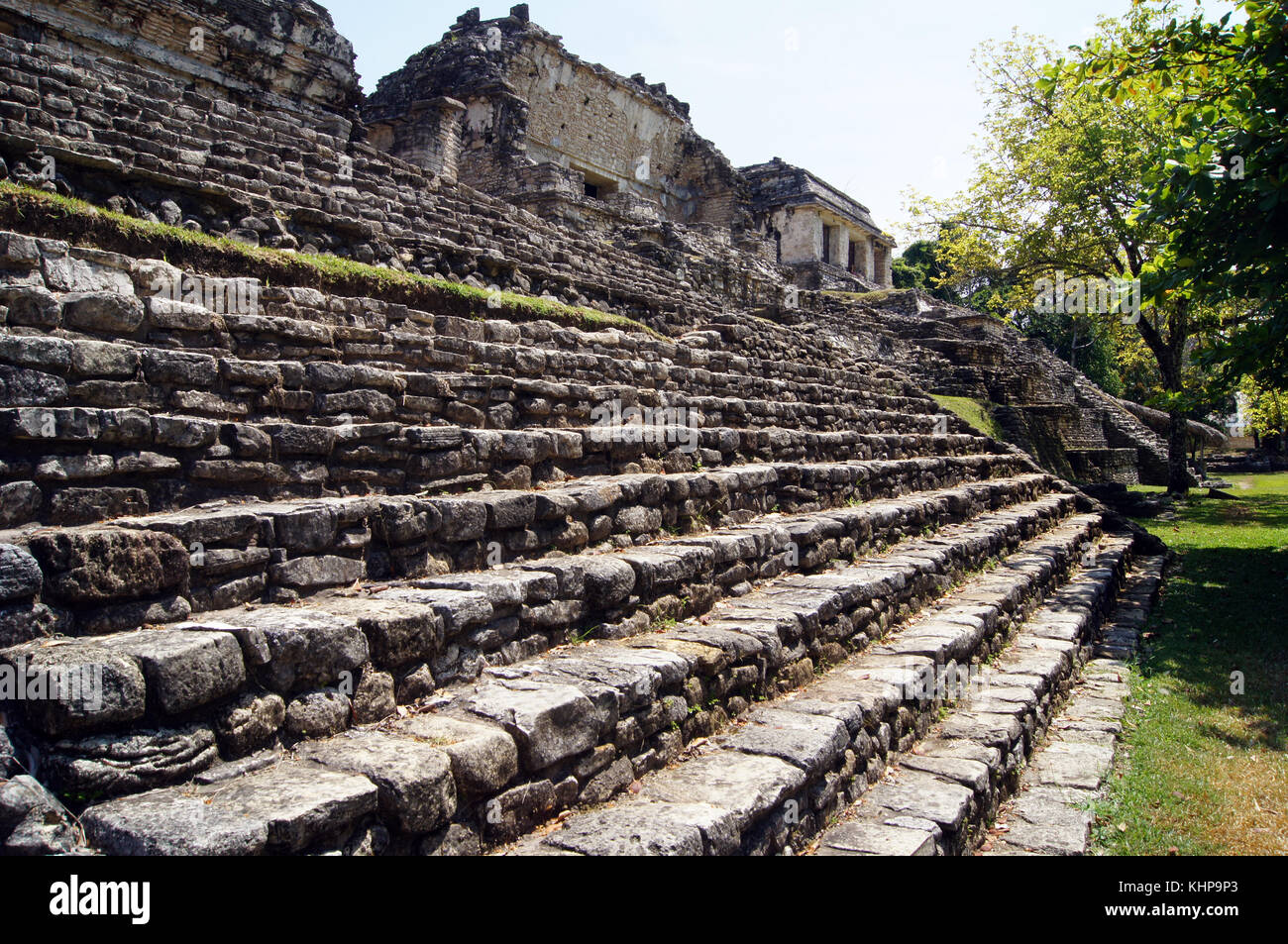 Long staircase and temples in Palenque Stock Photo - Alamy