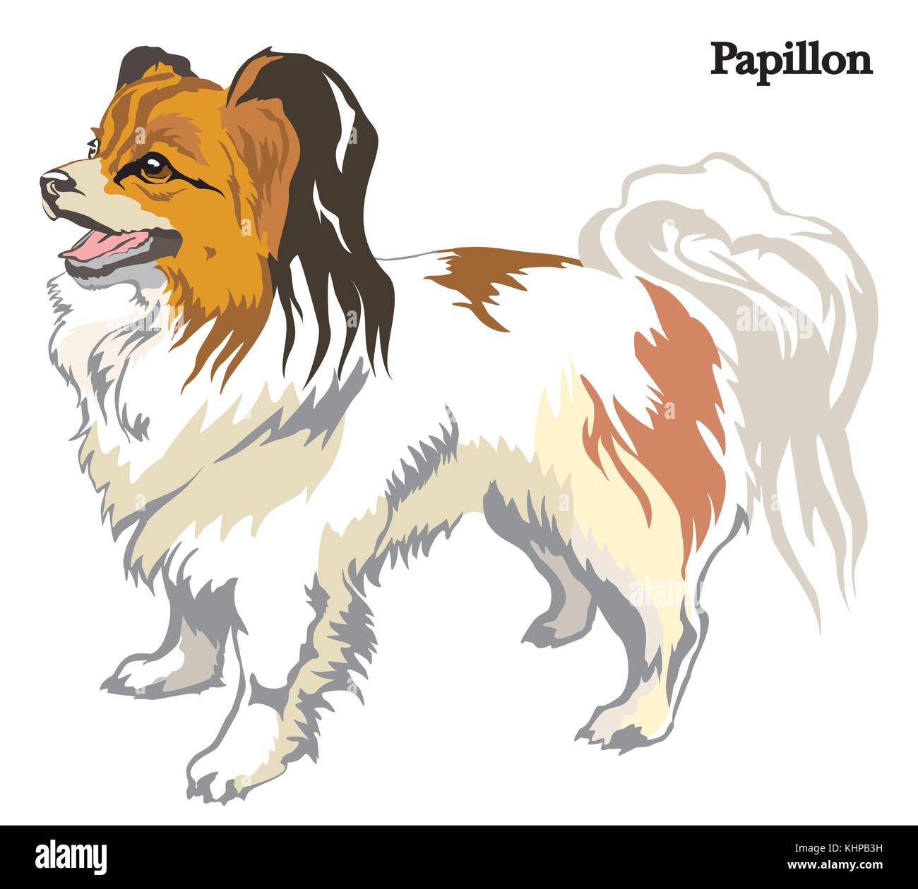 Portrait of standing in profile dog Papillon vector colorful ...