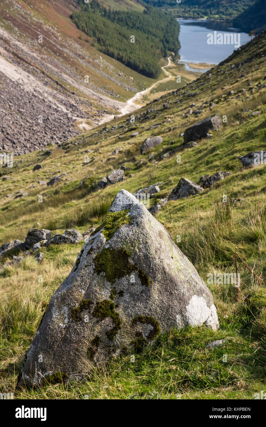 Granite boulder with moss and lichen above the Glendalough valley in ...