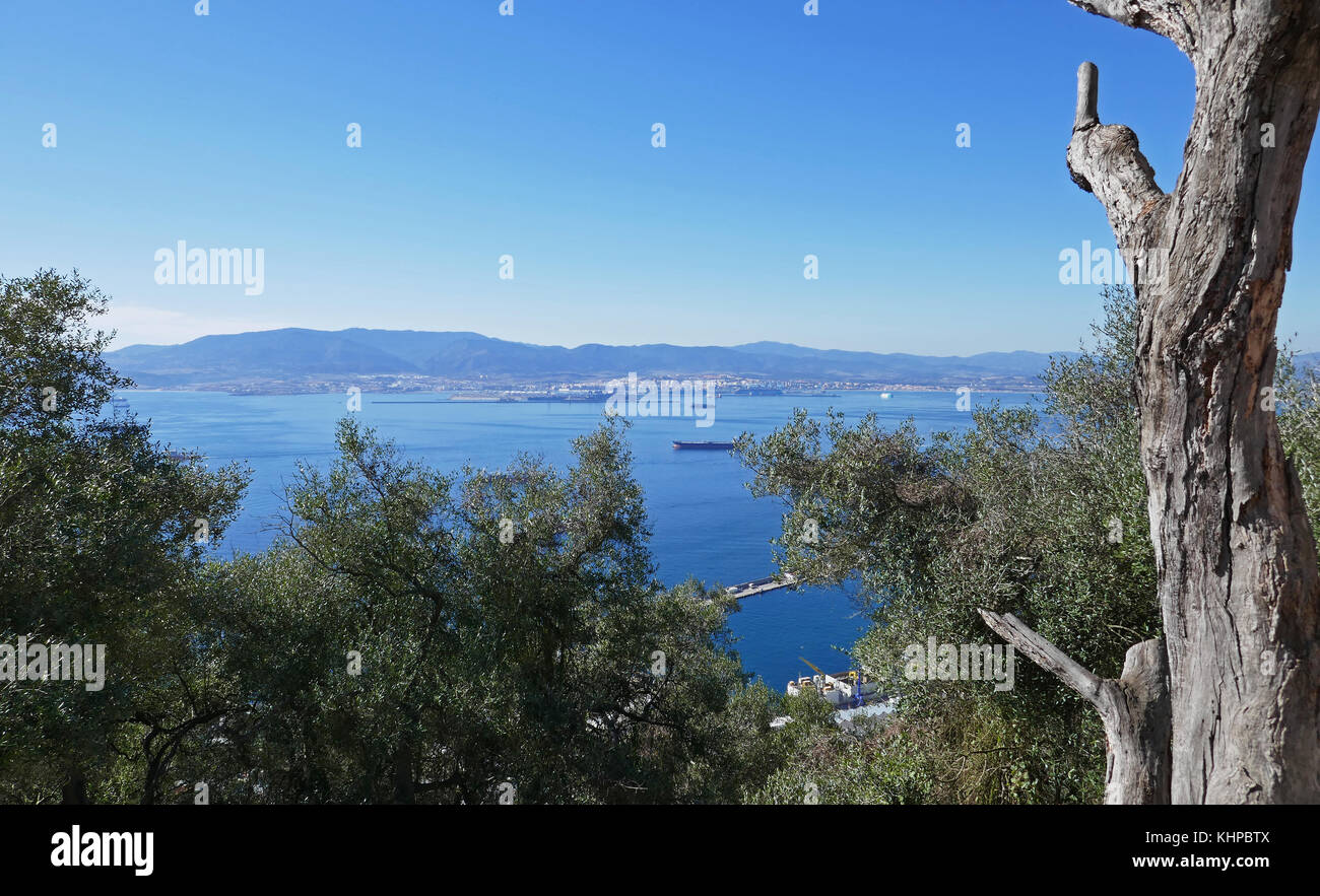 View from Rock of Gibraltar - Gibraltar Bay, Algeciras Bay Stock Photo ...