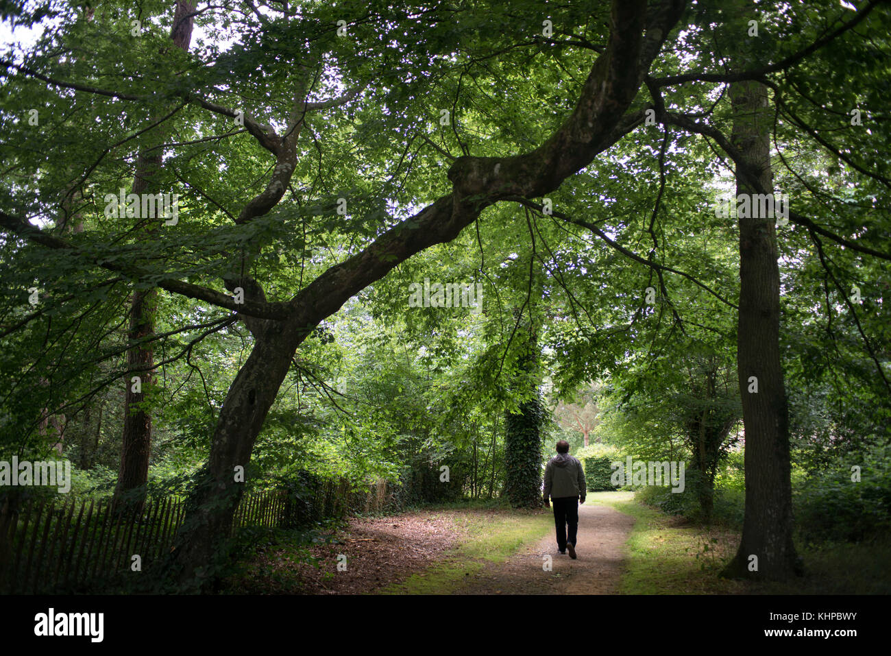 Clison hi-res stock photography and images - Alamy