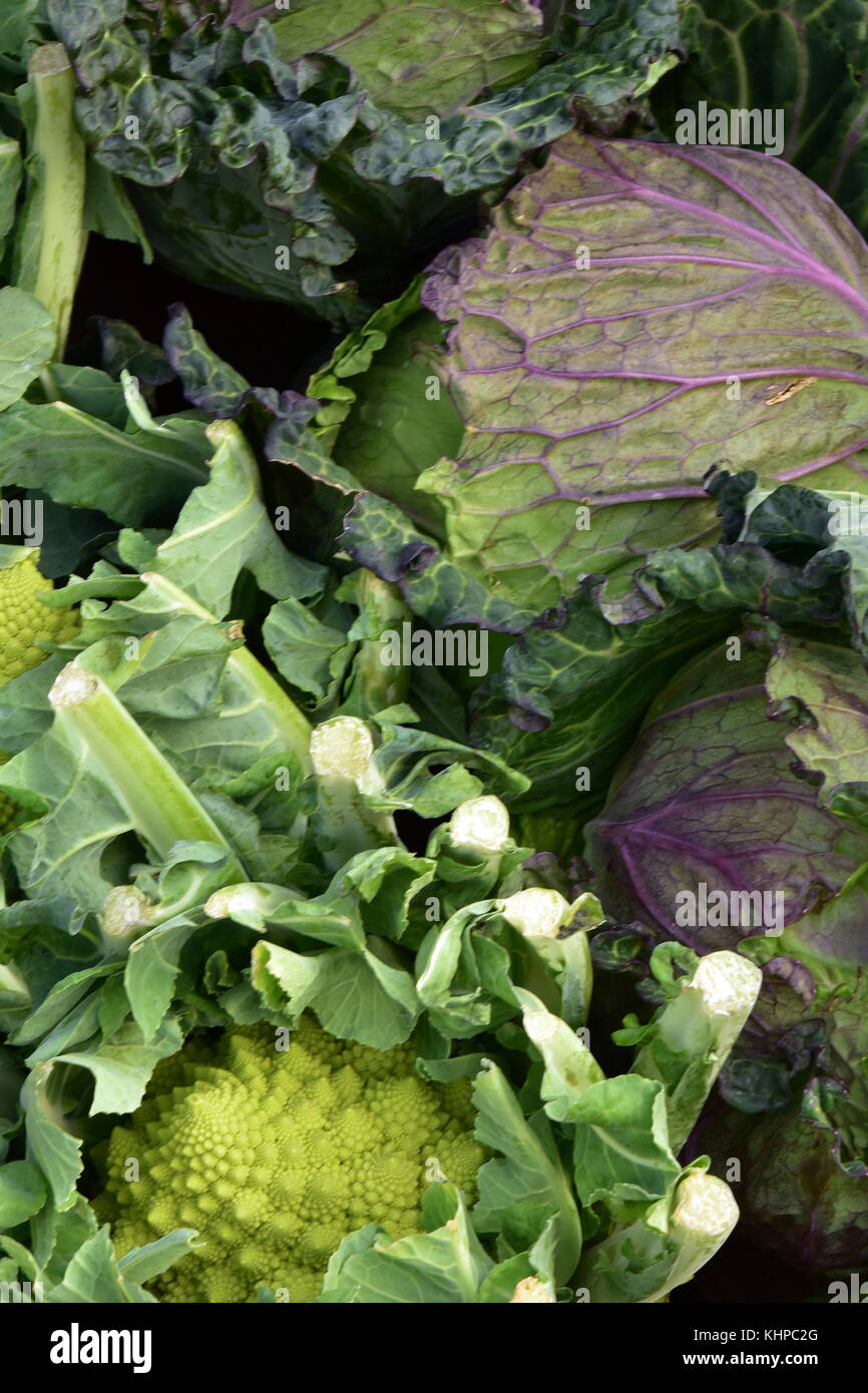 Purple Romanesco Broccoli High Resolution Stock Photography and Images ...