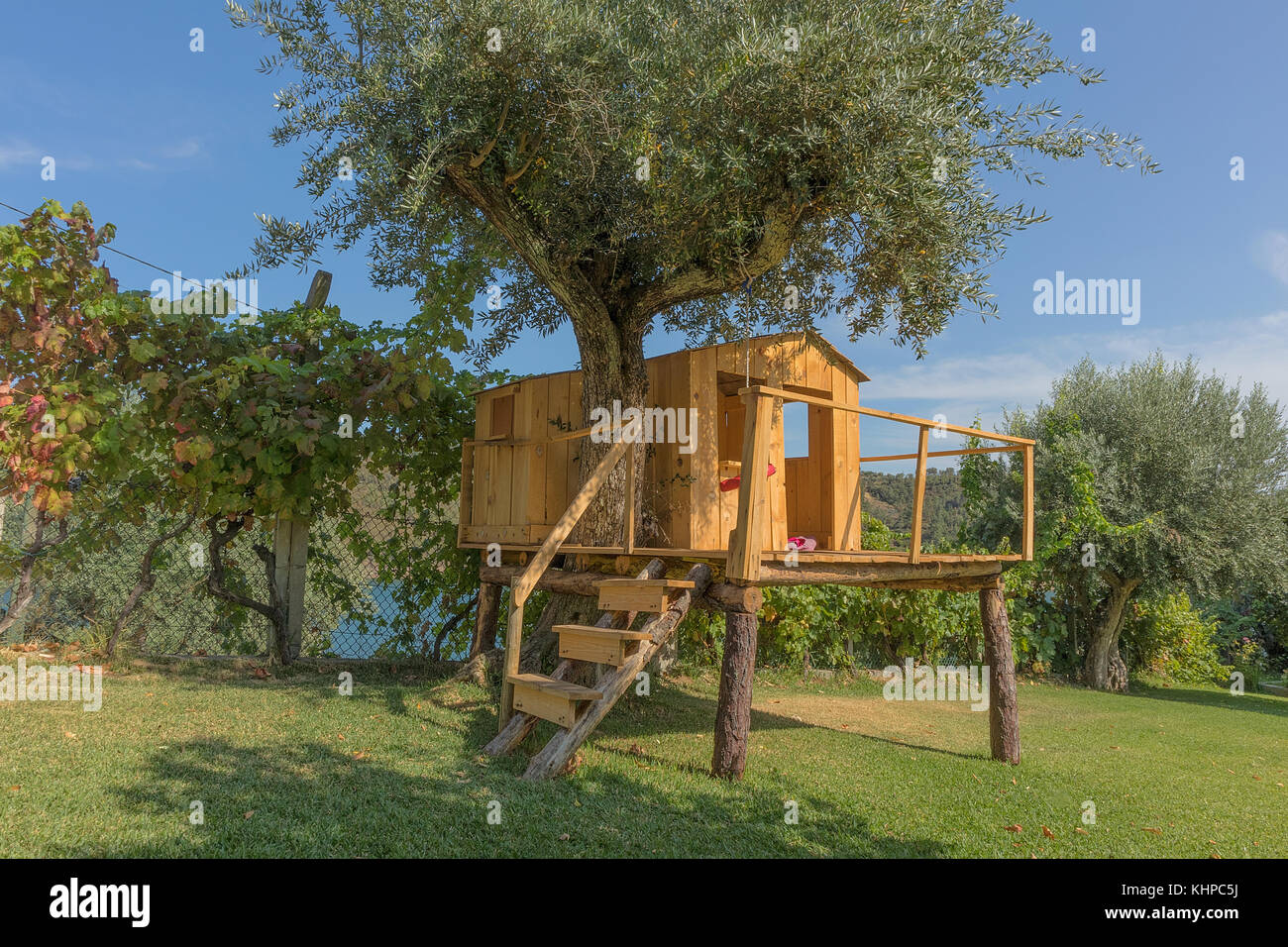 Wooden house in tree. Tree house Stock Photo - Alamy