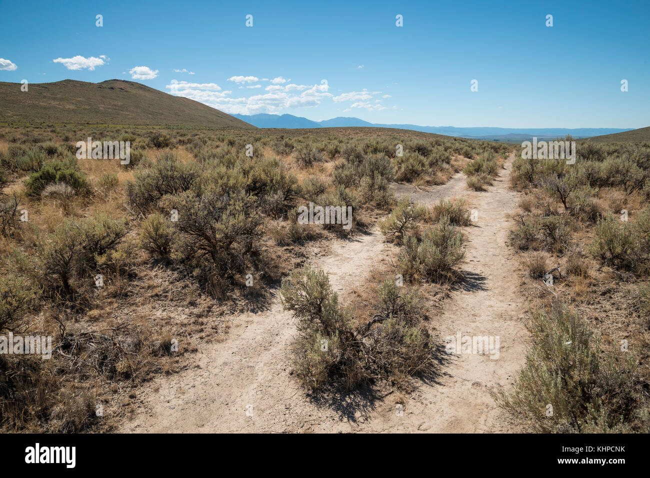 Wagon wheel ruts at the National Historic Oregon Trail Interpretive ...