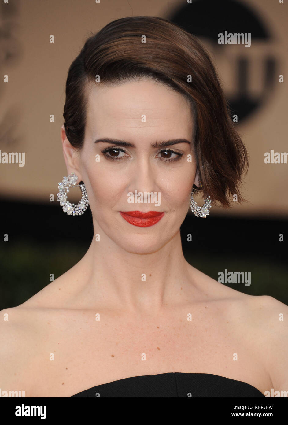 LOS ANGELES, CA - JANUARY 29: Sarah Paulson attends the 23rd Annual ...