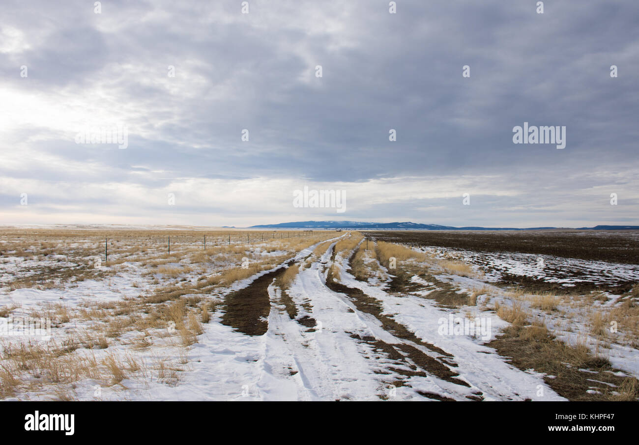A snowy, rutted dirt road leading to the Little Snowy Mountains in the ...