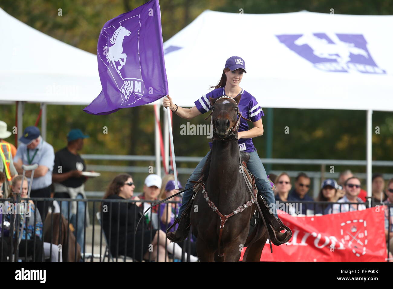 Champ horse hi-res stock photography and images - Alamy