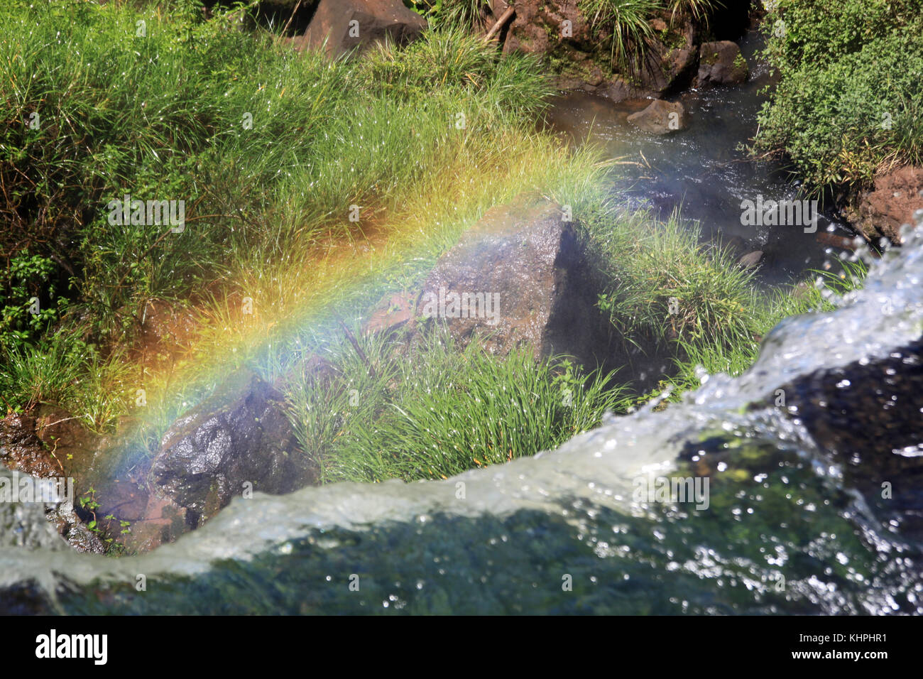 Green grass, river, rainbow and Iguazu waterfall Stock Photo - Alamy