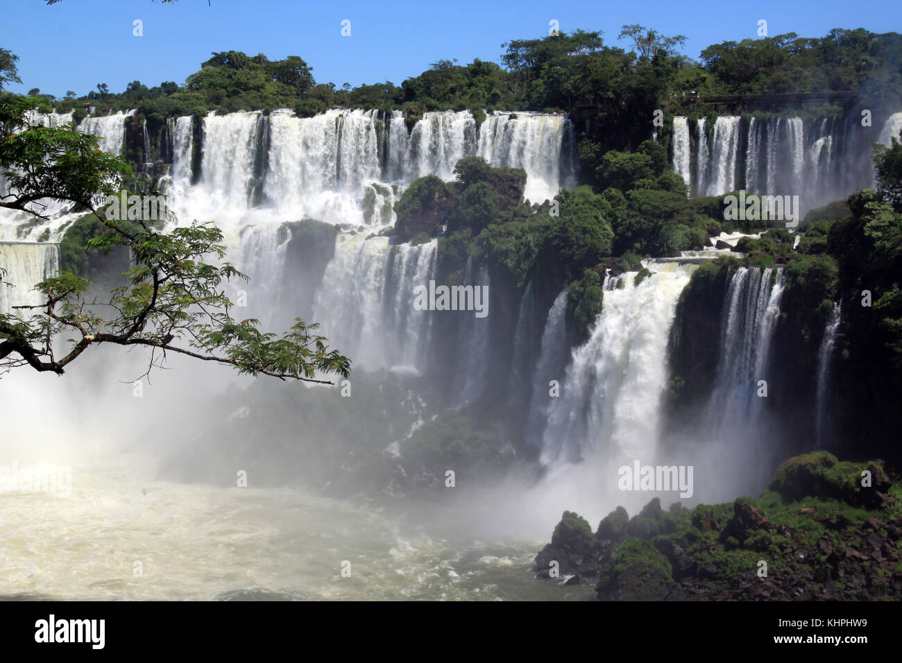 Branch of tree and wide Iguazu waterfall in Argentina Stock Photo - Alamy