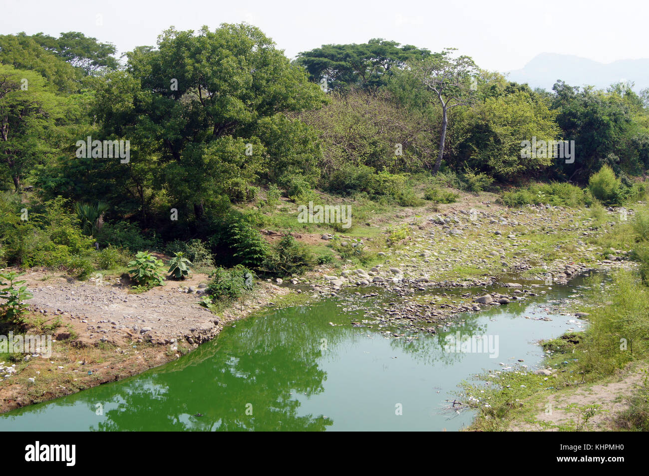 Tropical river in Nicaragua at the end of dry season Stock Photo - Alamy