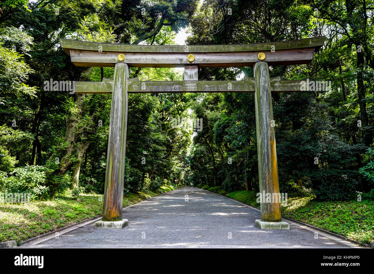 Tokyo Torii Entrance Gate Meiji Shrine near Yoyogi Park. Photo taken in ...