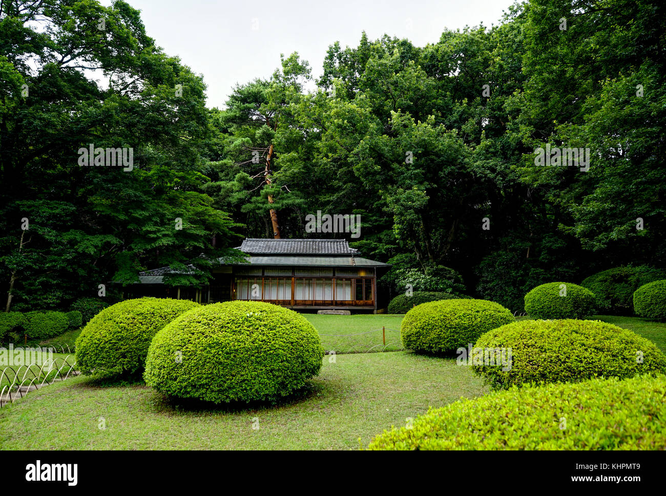 Meiji Shrine Yoyogi Park Tokyo Japan Asia. Photo taken in Japan Asia ...