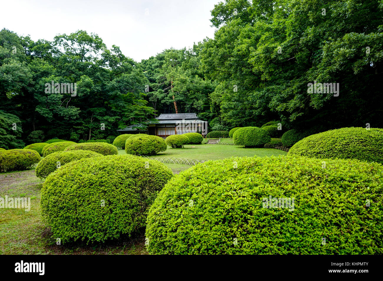 Meiji Shrine Yoyogi Park Tokyo Japan Asia. Photo taken in Japan Asia ...