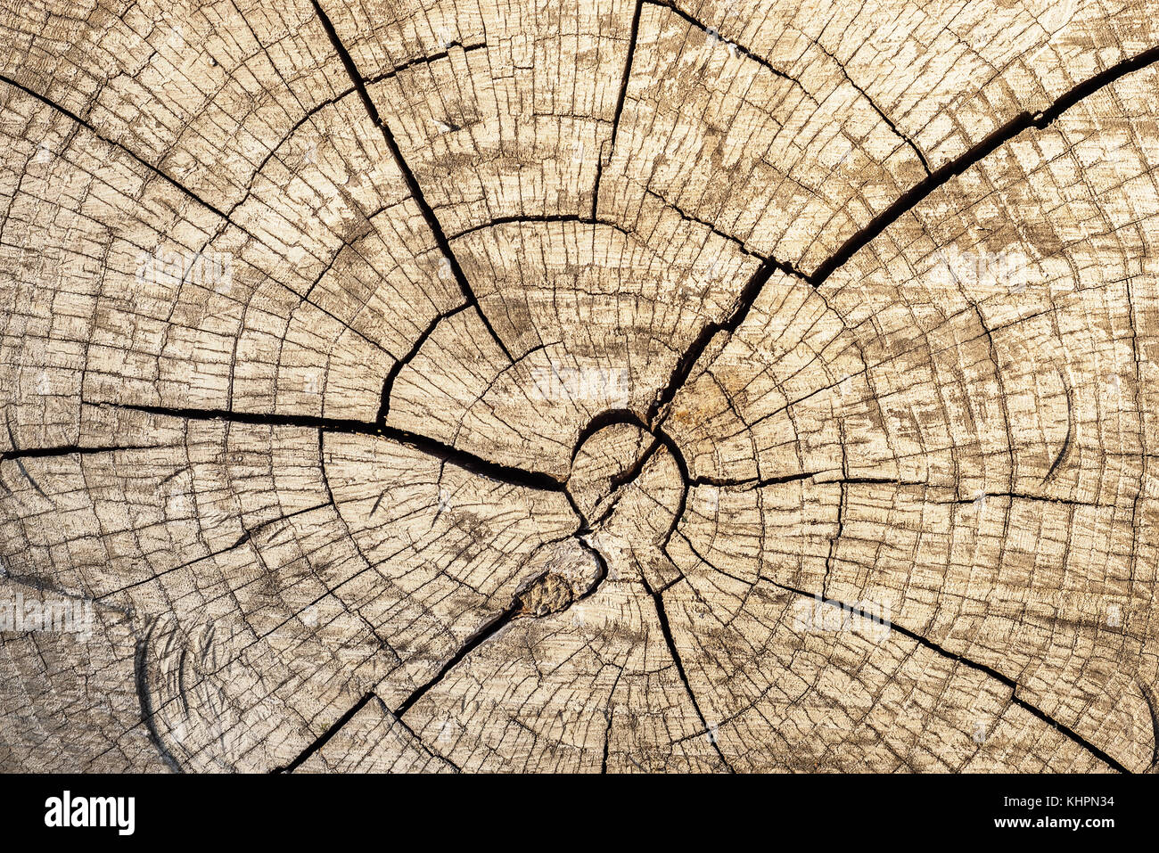 Log Rounds High Resolution Stock Photography and Images - Alamy