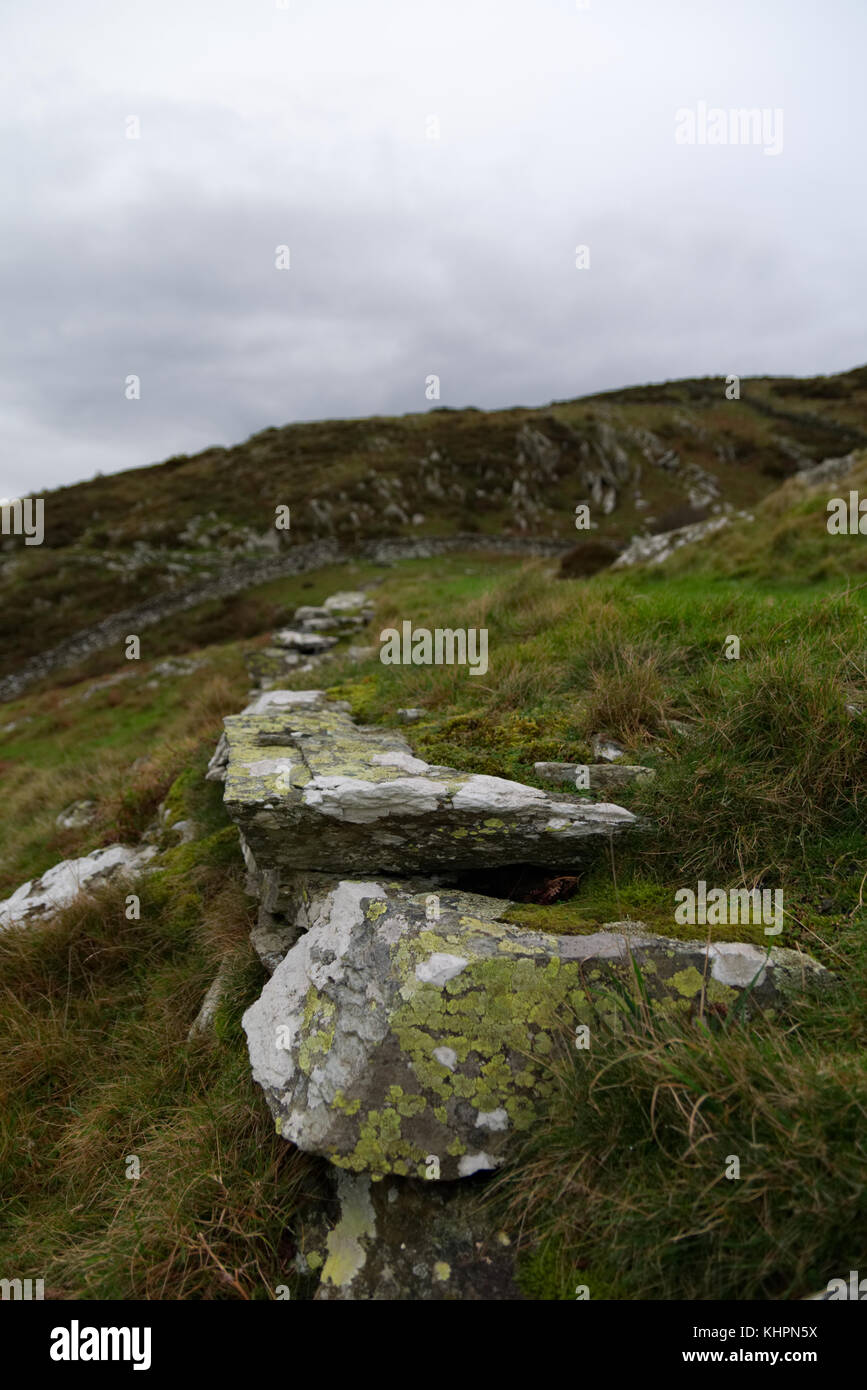 Lichen covered slate stone wall with very shallow depth of field Stock ...
