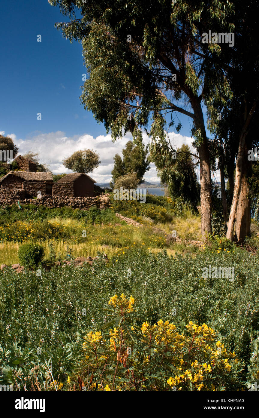 View of Lake Titicaca from the village of Llachón. Capachica Peninsula ...