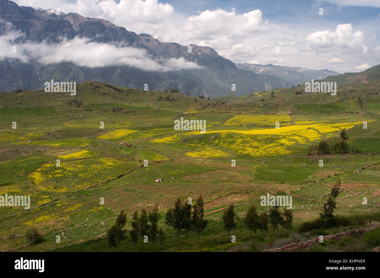 Landscape of the Peruvian high plateau in the vicinity of the Colca ...