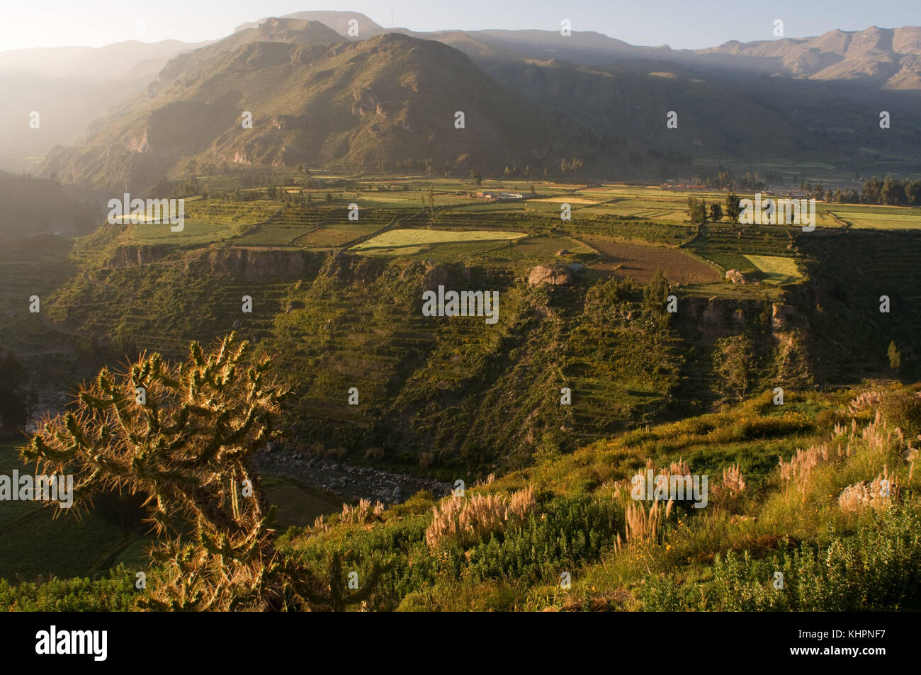 On peruvian andean plateau hi-res stock photography and images - Alamy