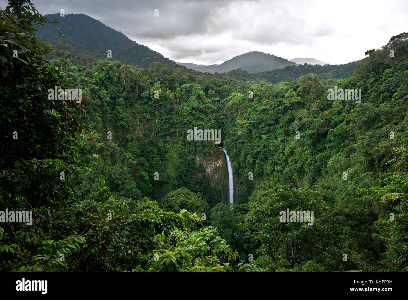 Waterfall at Rio de La Fortuna, Costa Rica. Rainforest, La Fortuna ...