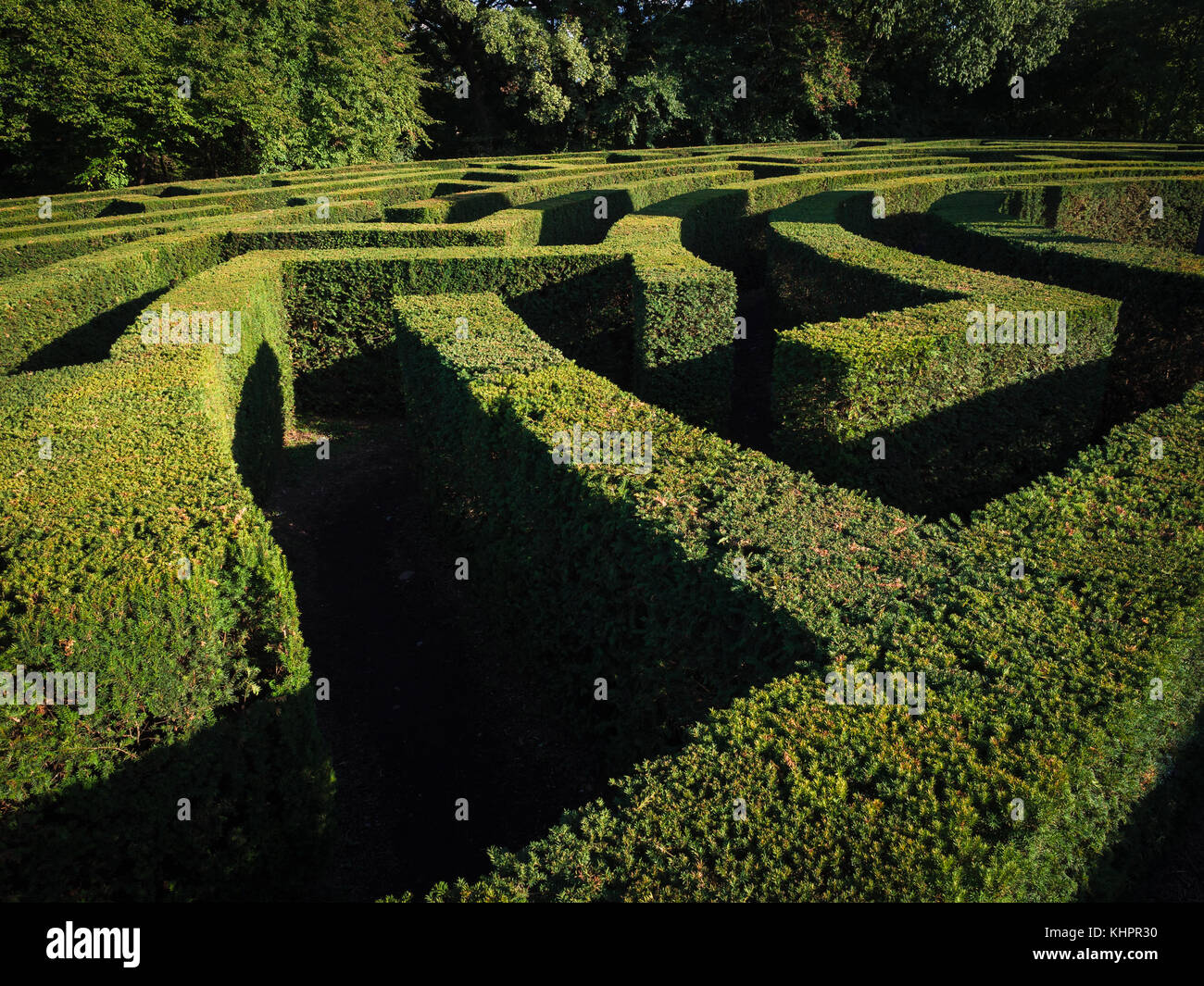 Labyrinth Maze of Neat Cut Green Bushes Stock Photo - Alamy