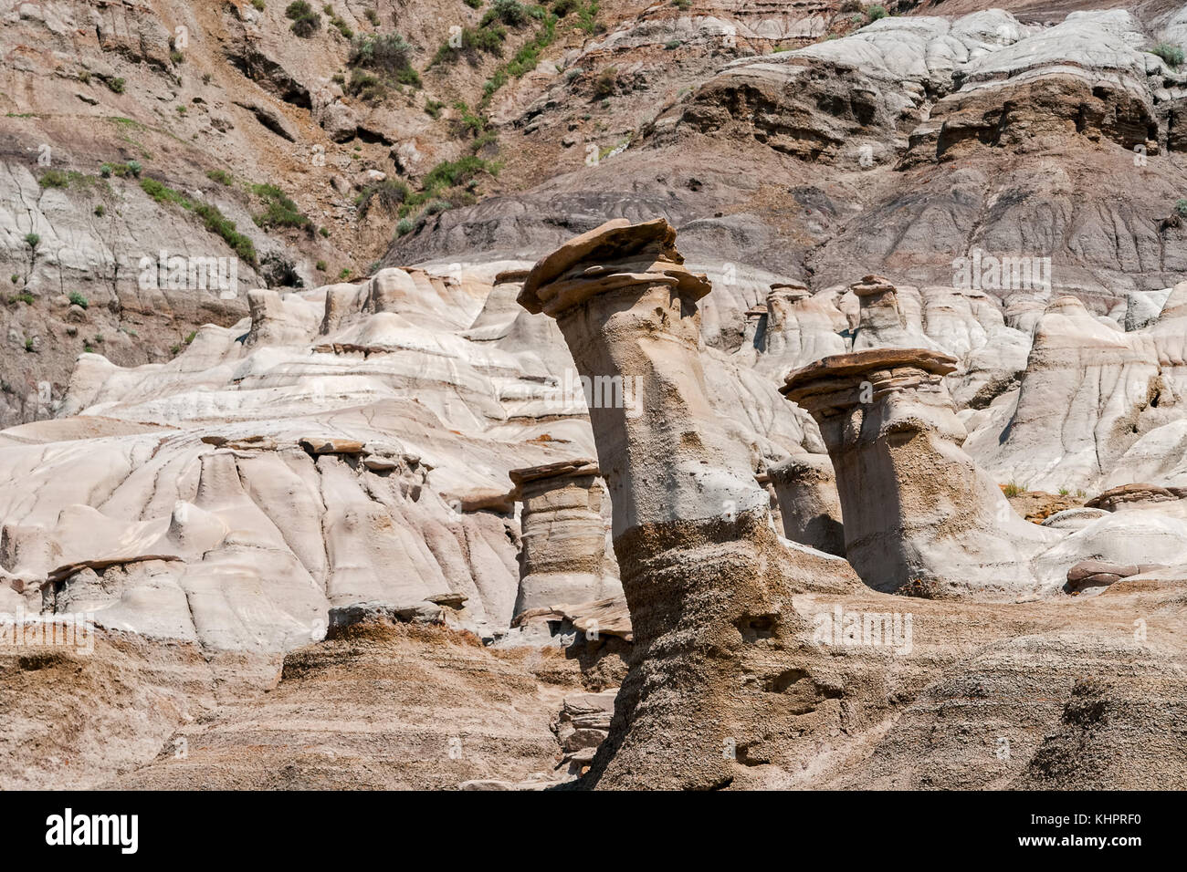Hoodoos, a geologic formation in the badlands - Alberta, Canada Stock ...