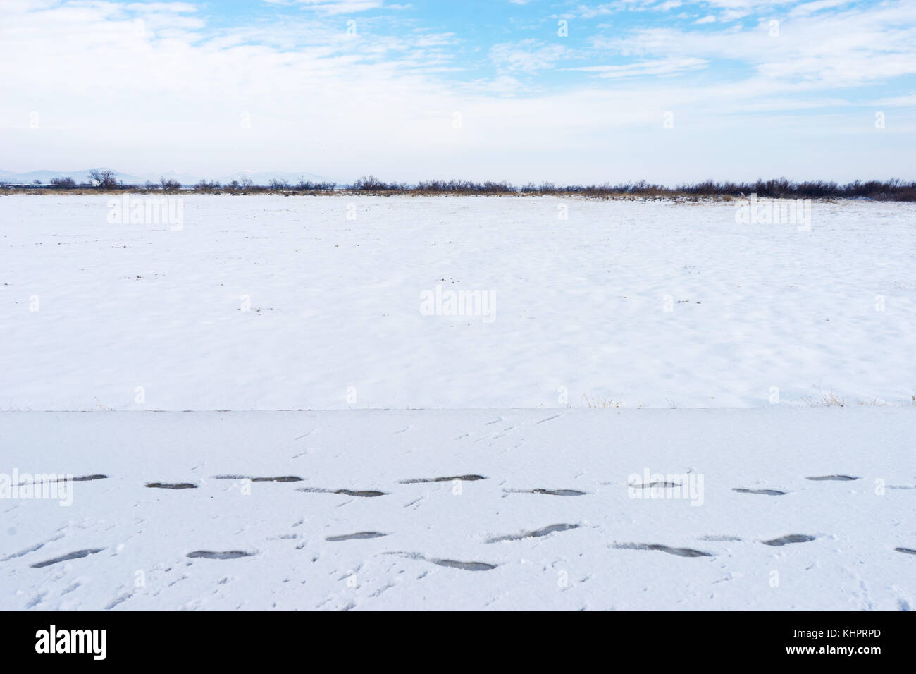Footprints on fresh snow and snowy landscape Stock Photo - Alamy