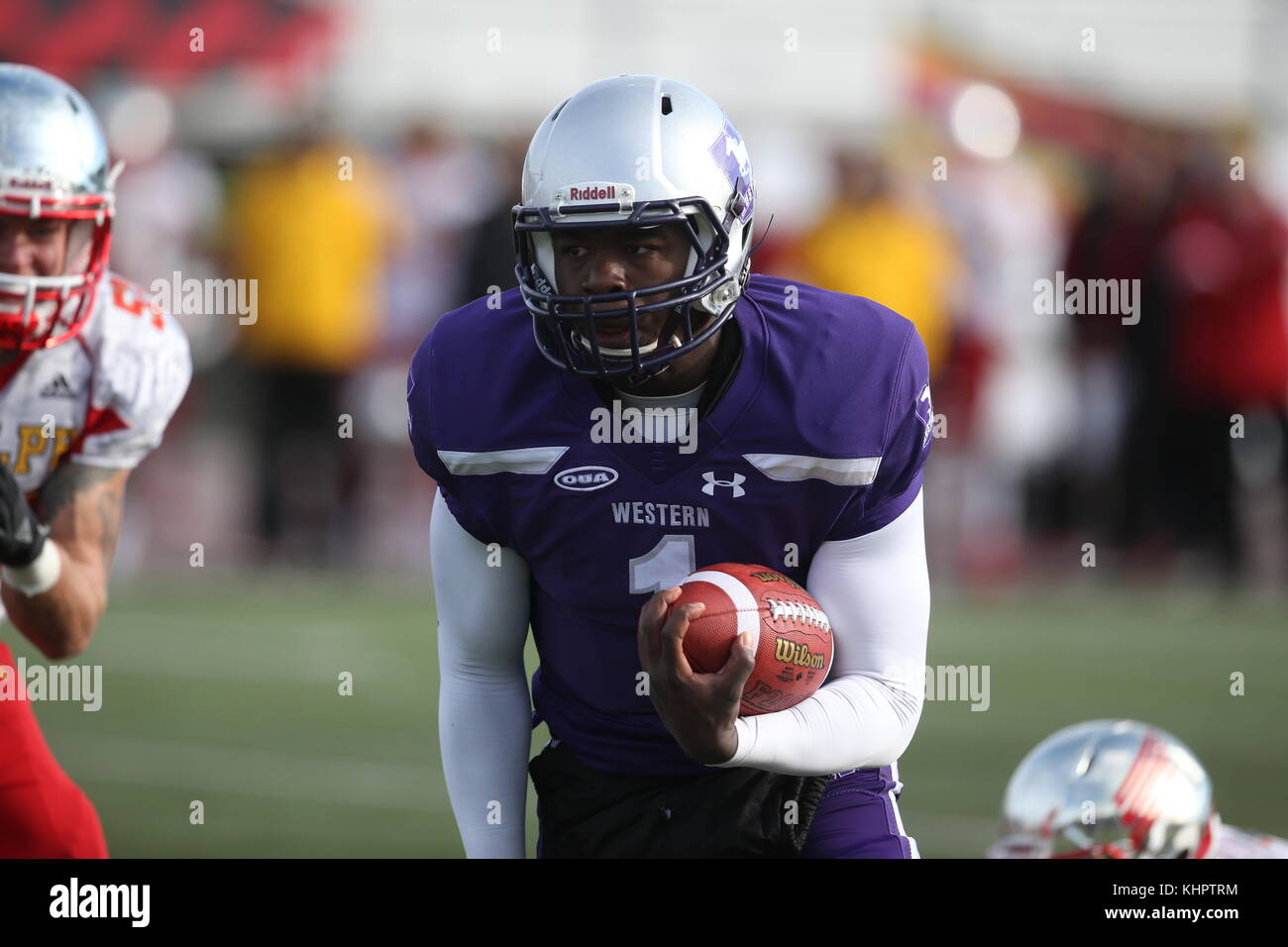 Western Mustangs # 01 Kevin John Stock Photo - Alamy