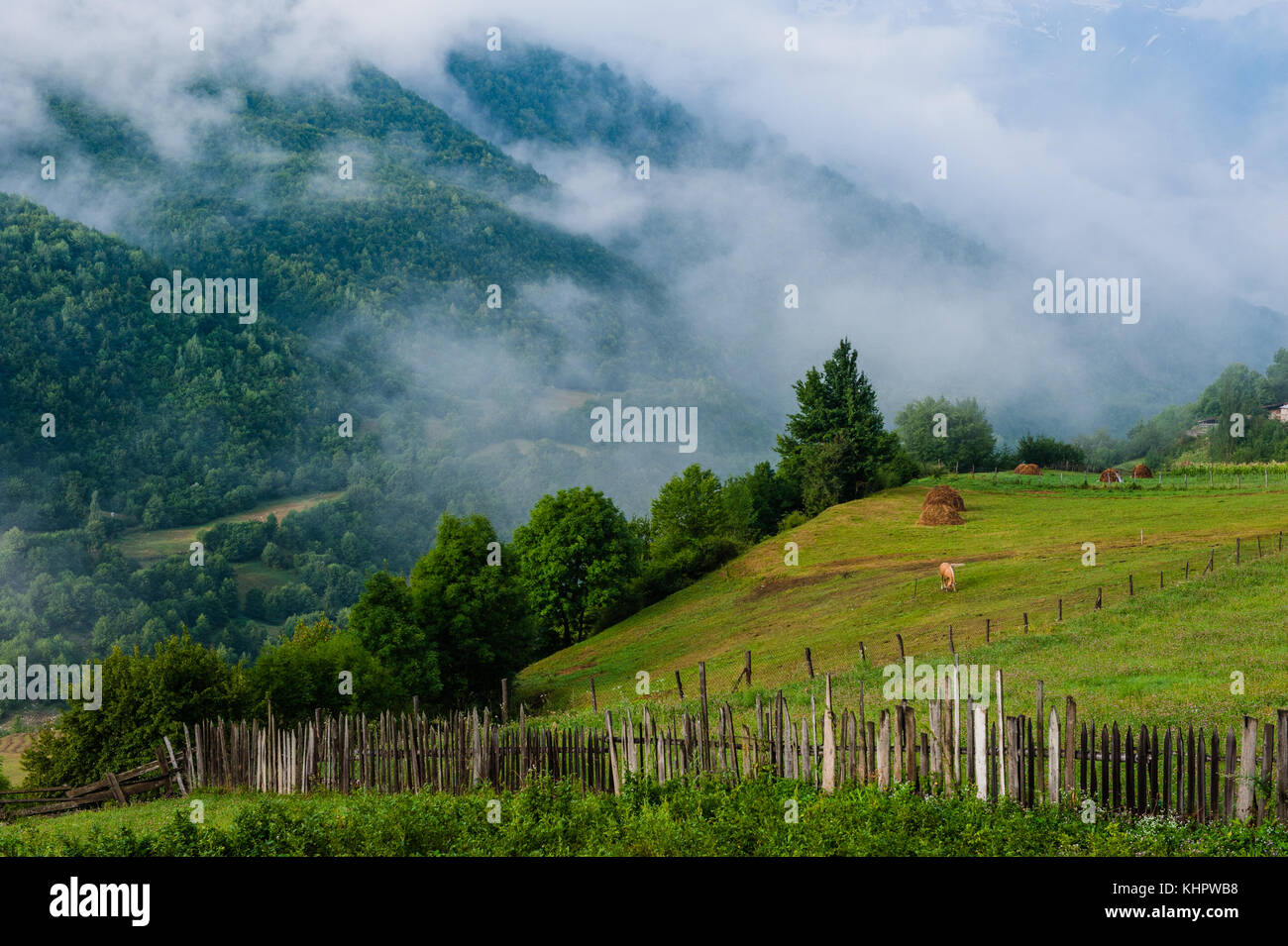 Townlet hi-res stock photography and images - Alamy