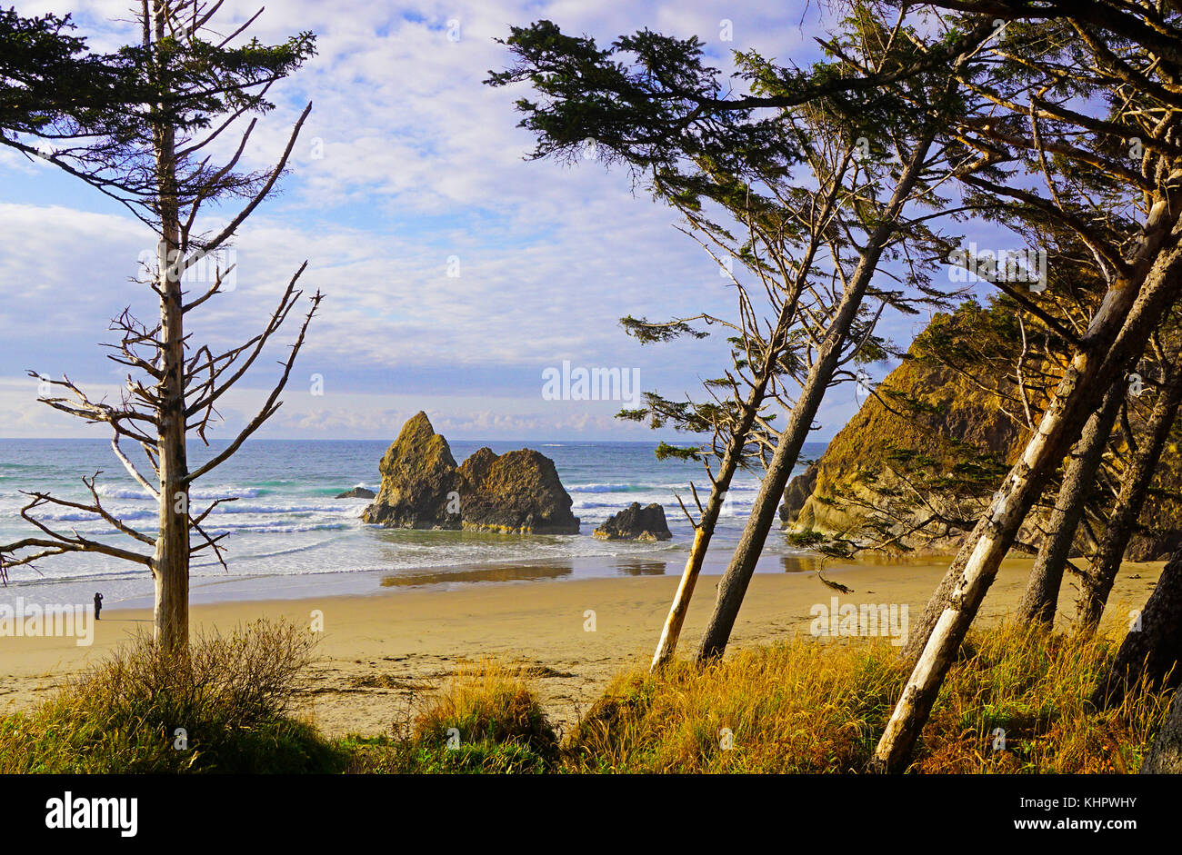 Seaside area and beach hi-res stock photography and images - Alamy