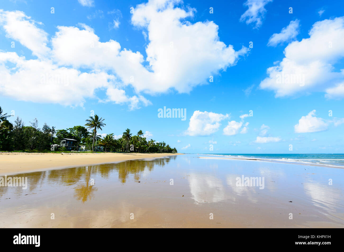 Palm-fringed deserted sandy beach of South Mission Beach on the Coral ...