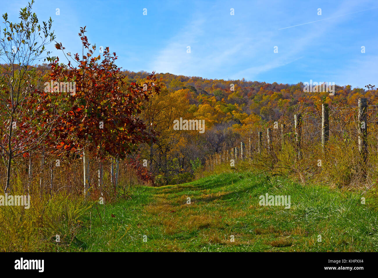 State forest conservation area hi-res stock photography and images - Alamy