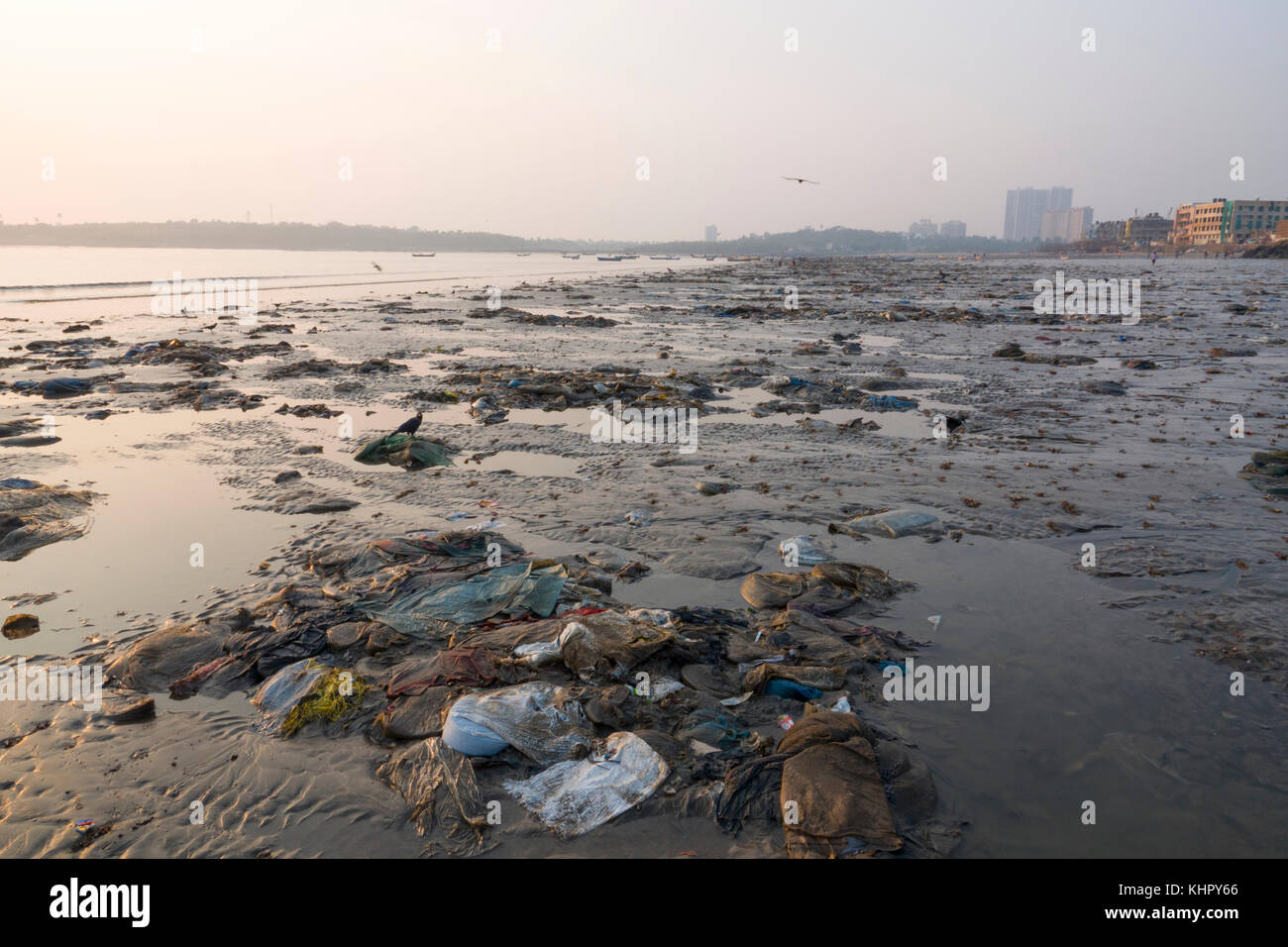 Trash india hi-res stock photography and images - Alamy