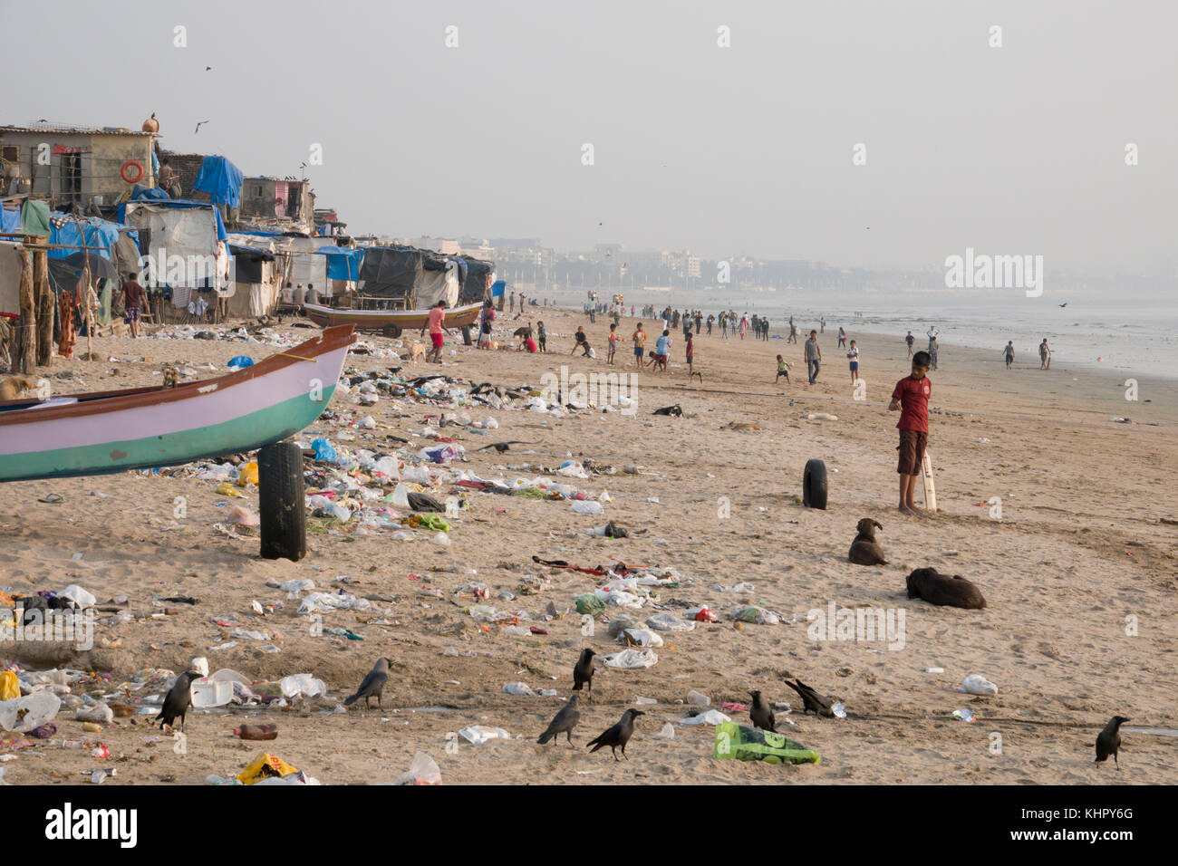 People, dogs and crows on a plastic garbage covered Versova Beach ...