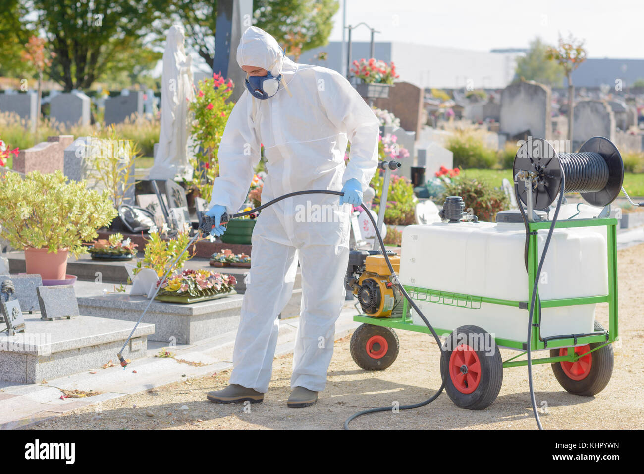 Man spraying chemical weedkiller Stock Photo - Alamy