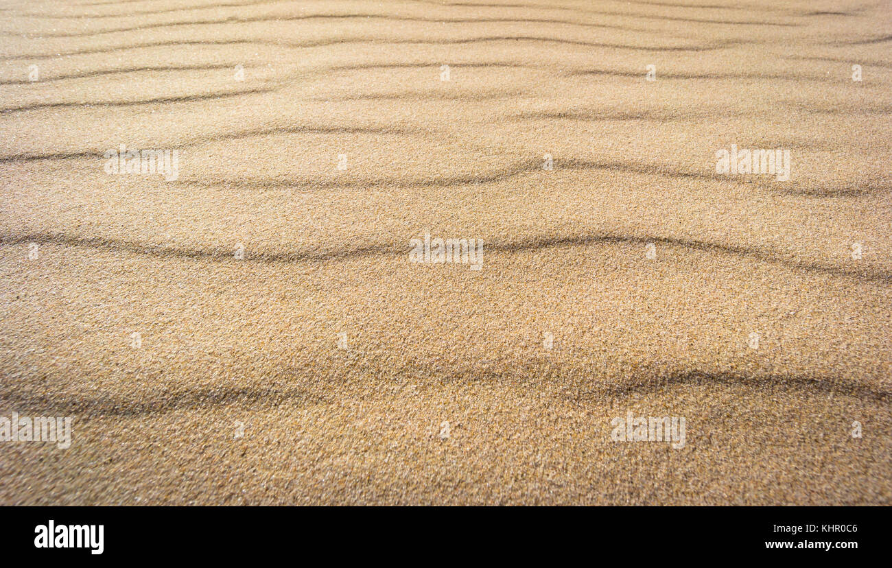 texture of the real sand waves Stock Photo - Alamy