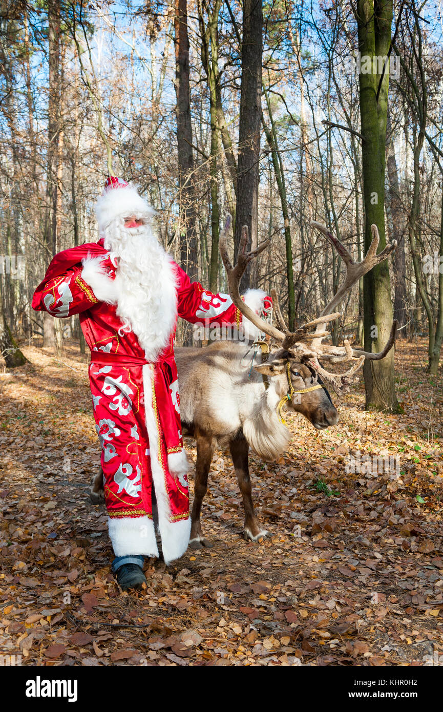 Santa Claus portrait Stock Photo - Alamy
