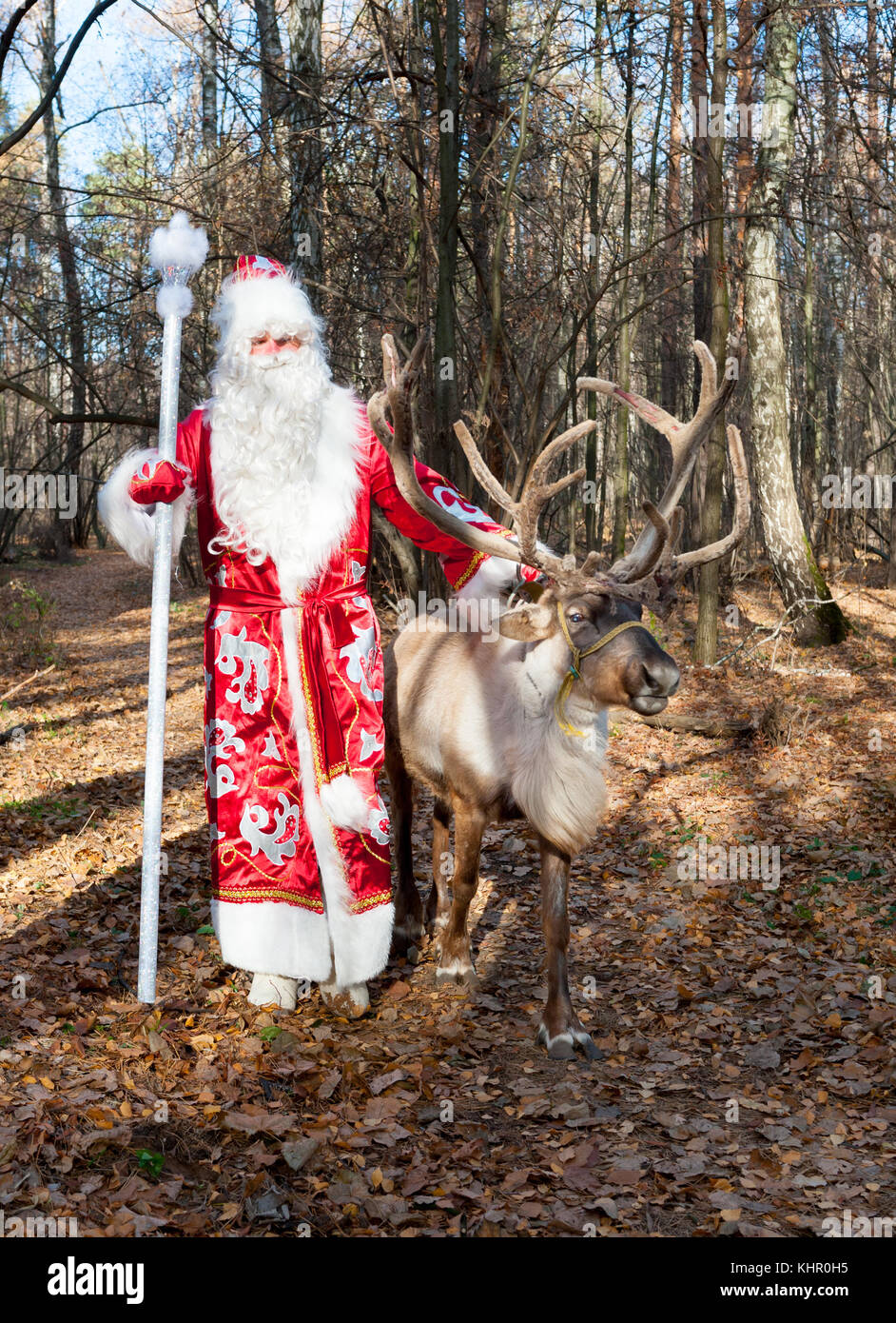 Santa Claus portrait Stock Photo - Alamy