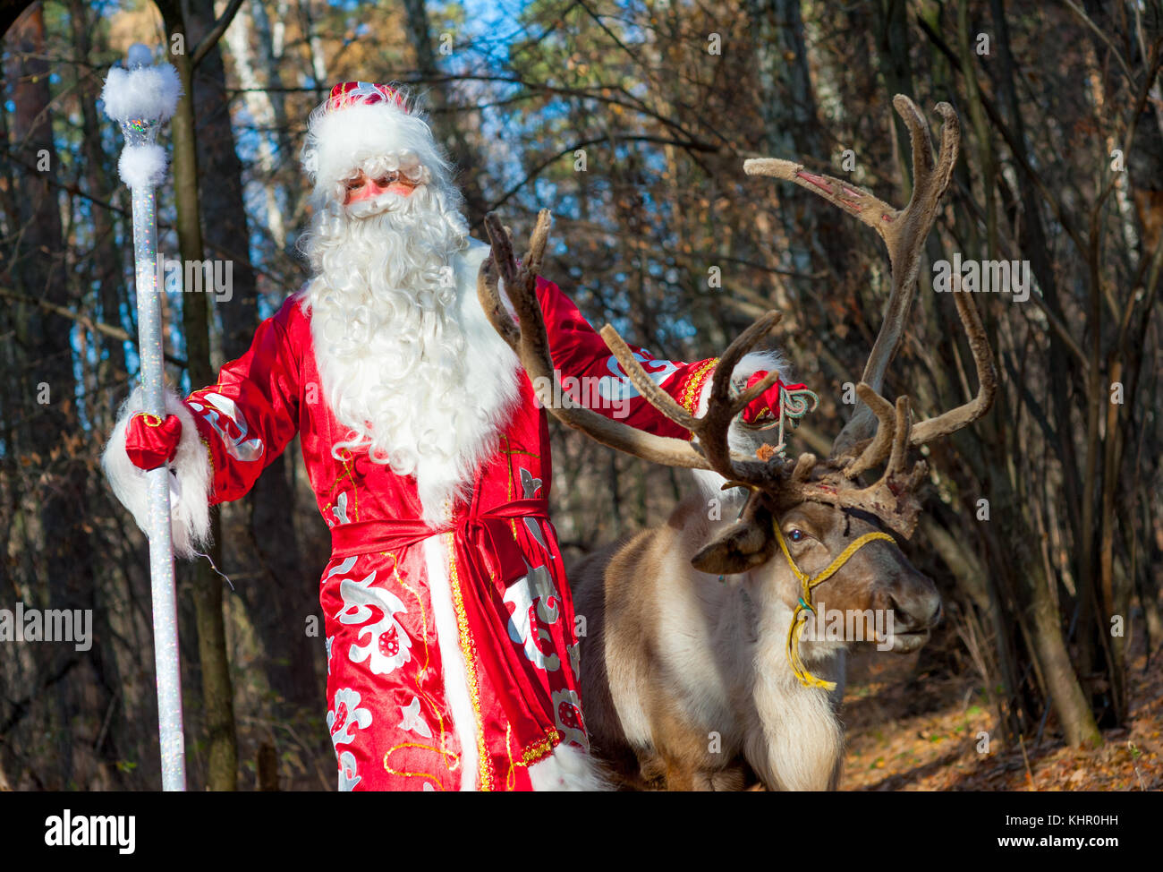 Santa Claus portrait Stock Photo - Alamy