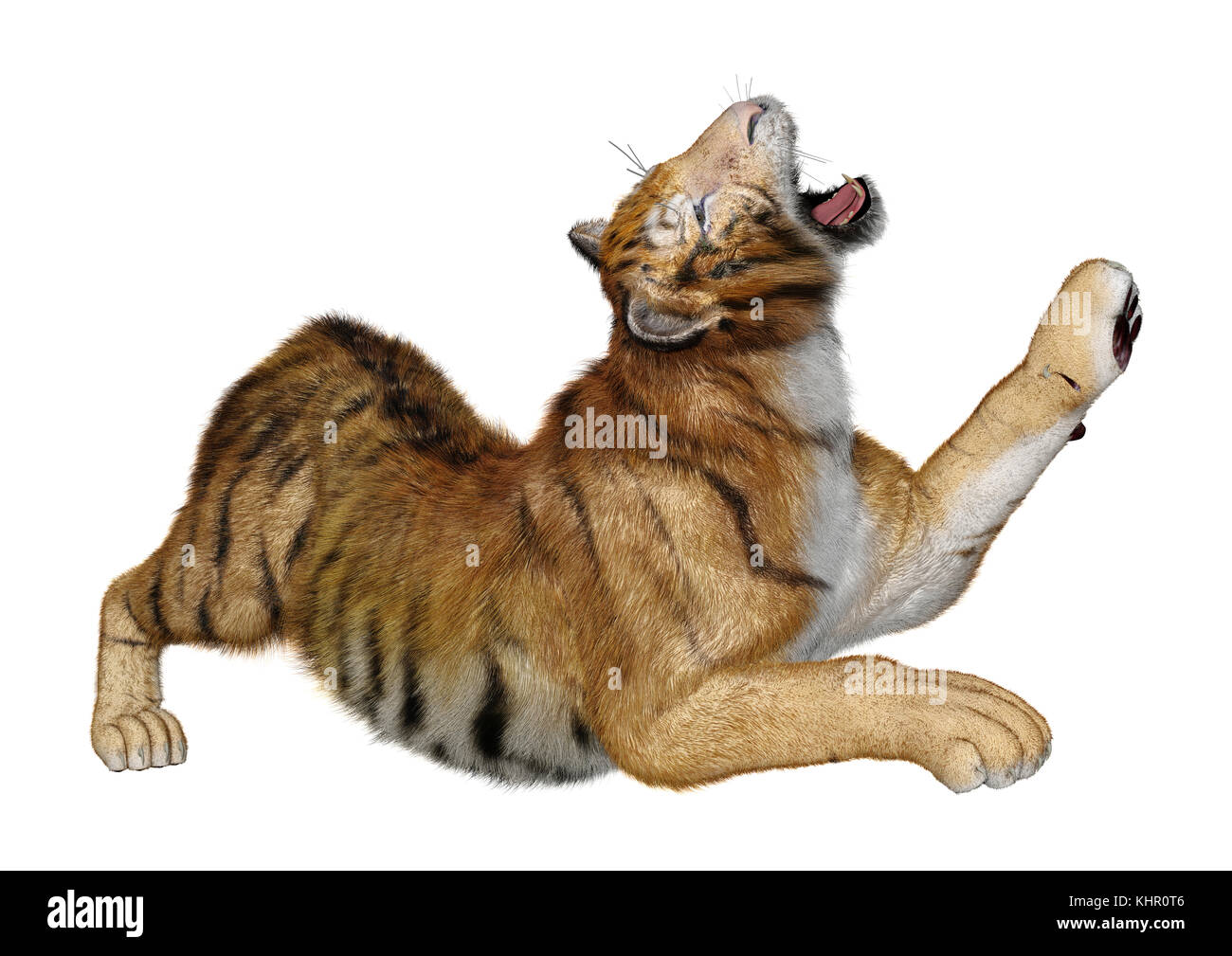 3D rendering of a big cat tiger isolated on white background Stock ...