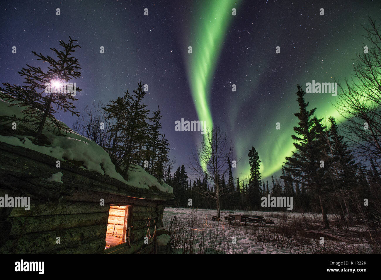Abandoned cabin from the Gold Rush area under night sky with northern ...