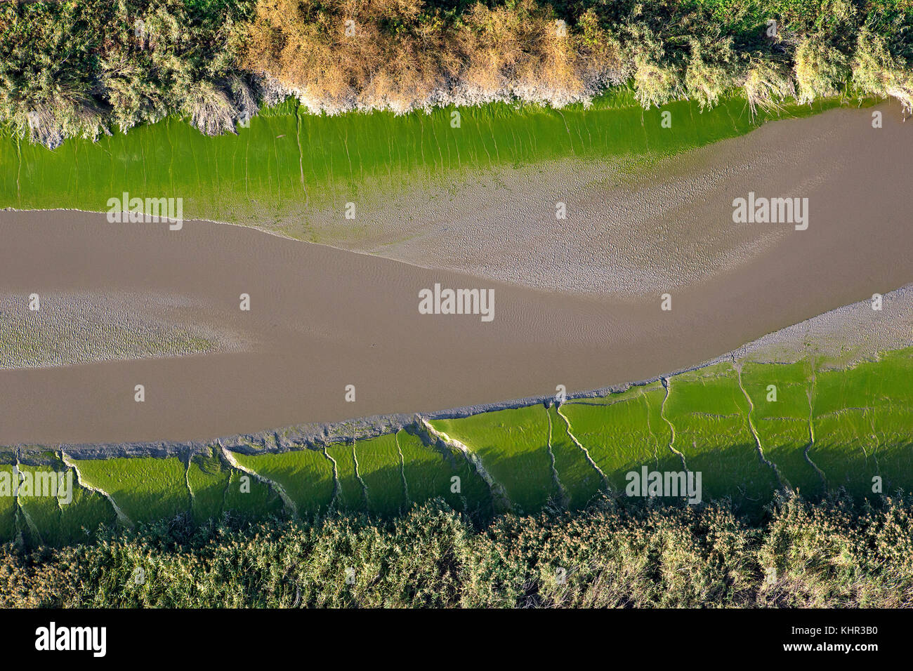 Durme River with shoreline, Waasland, Belgium Stock Photo - Alamy