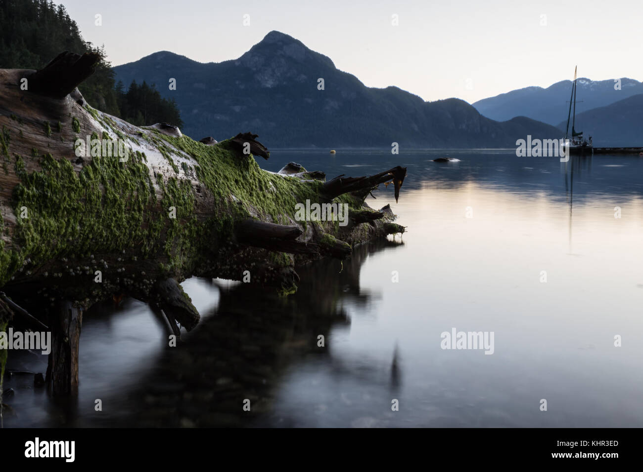 Tree root in front of the ocean inlet with mountains in the background ...
