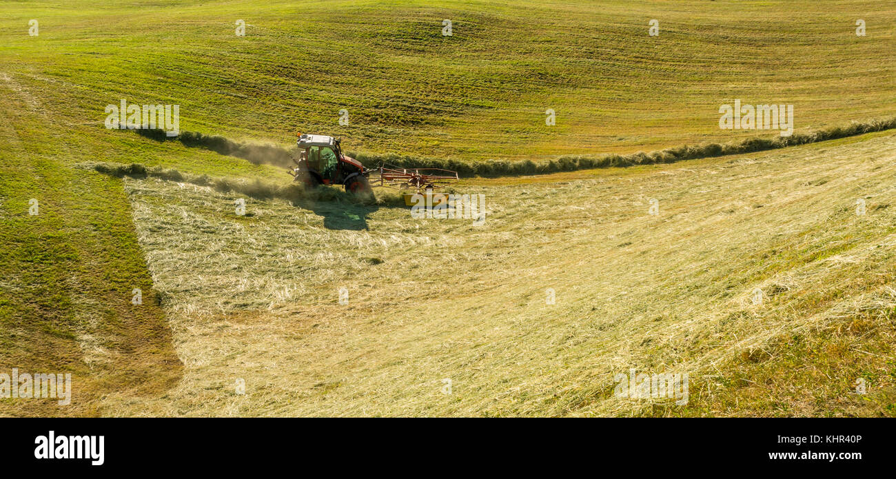 Haymaking on a hillside with rows of hay, a hay tedder and a hay-loader ...